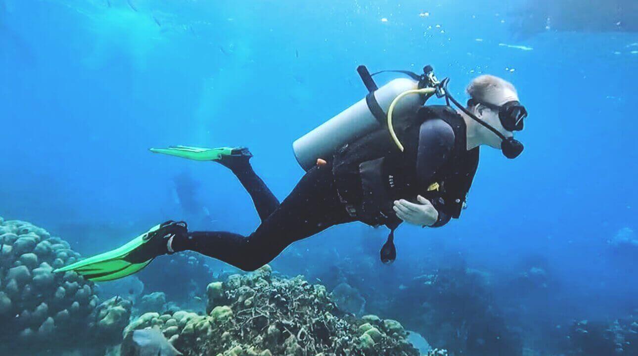 Scuba Diving Adventure in Catalina Island - Only Transfer Punta Cana